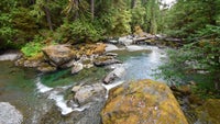 Staircase Rapids Loop Hike in Olympic National Park