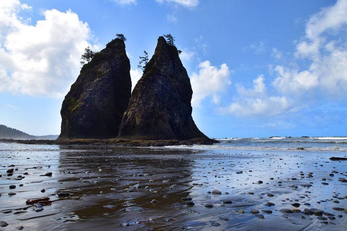 Sea Stacks on Olympic National Park's Coast
