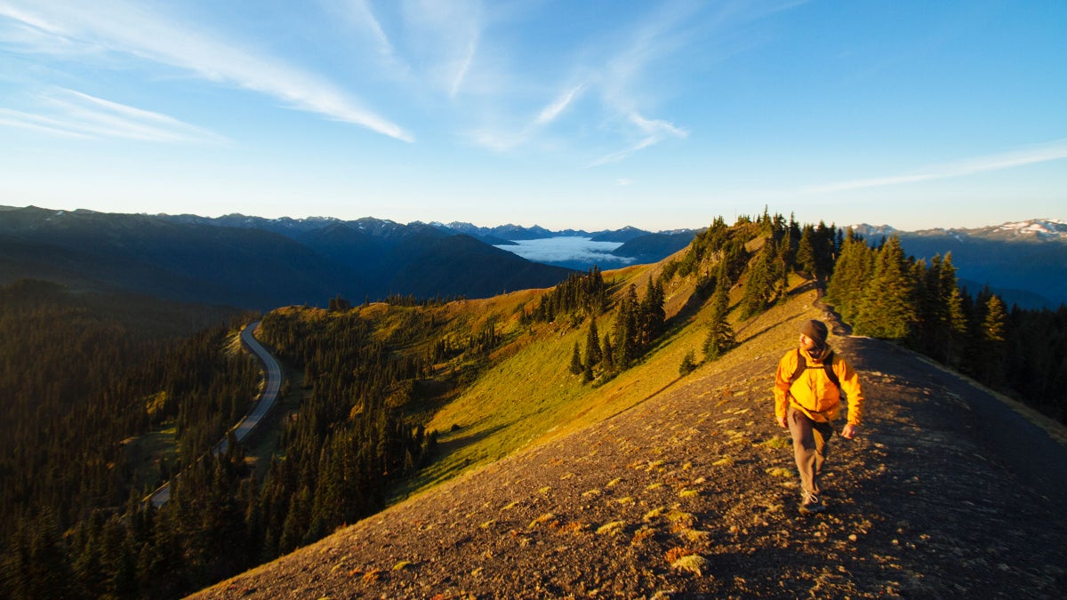 Hurricane Ridge in Olympic National Park, Washington
