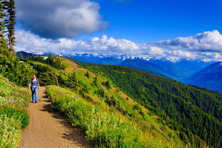 What is the Best Season to Visit Olympic National Park?