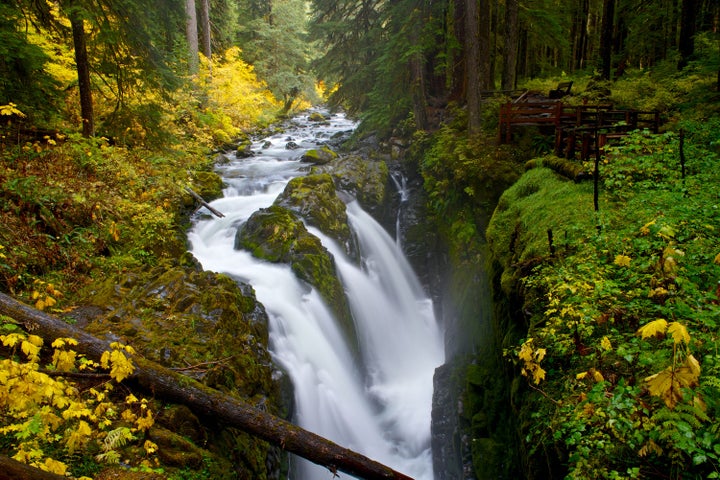 What is the Best Season to Visit Olympic National Park?