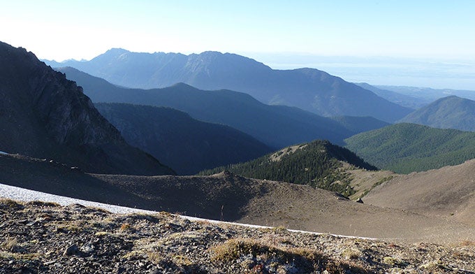 Hurricane Ridge to Obstruction Point Scenic Drive in Olympic National Park